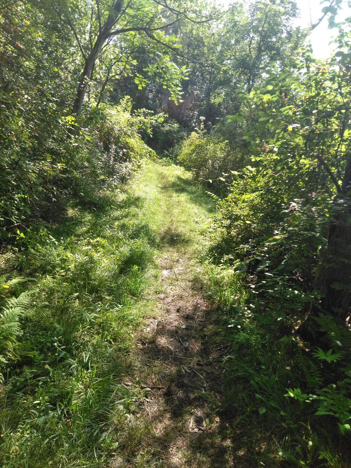 A Relaxing Retreat: Lake Paran and the Robert Frost Trail | Adventures ...