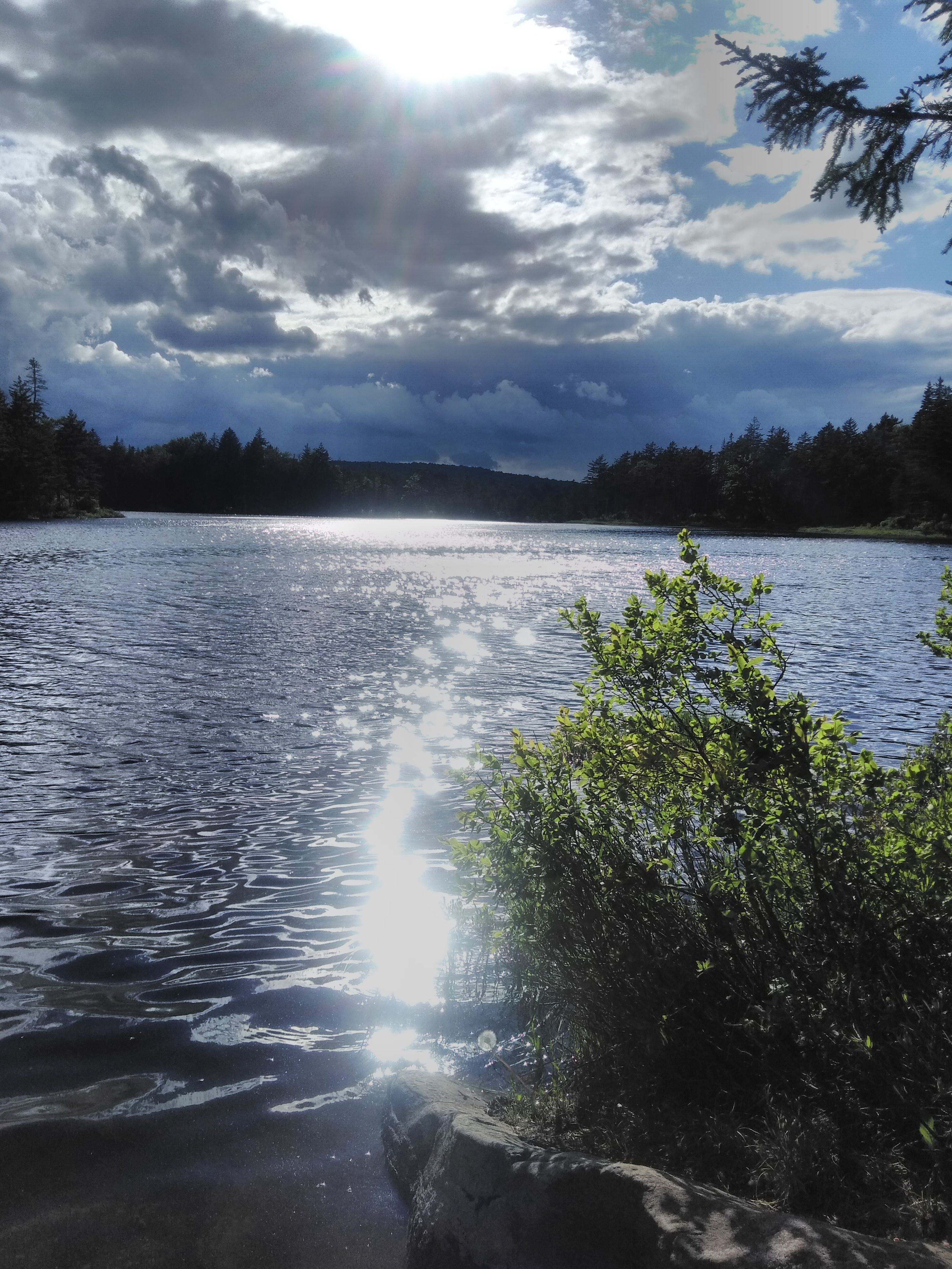 A Fine Foursome of Pond Adventures: Branch Pond, Grout Pond, Little ...